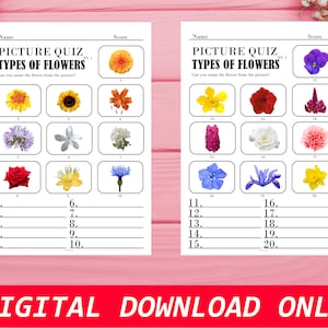 50 Printable FLOWER TYPES Picture Quiz, Picture Trivia, Party Game ...