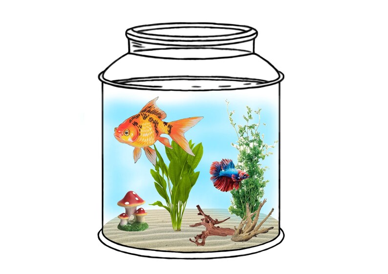 Build A Fish Tank Printable Craft, Build an Aquarium, Pretend Play, DIY ...