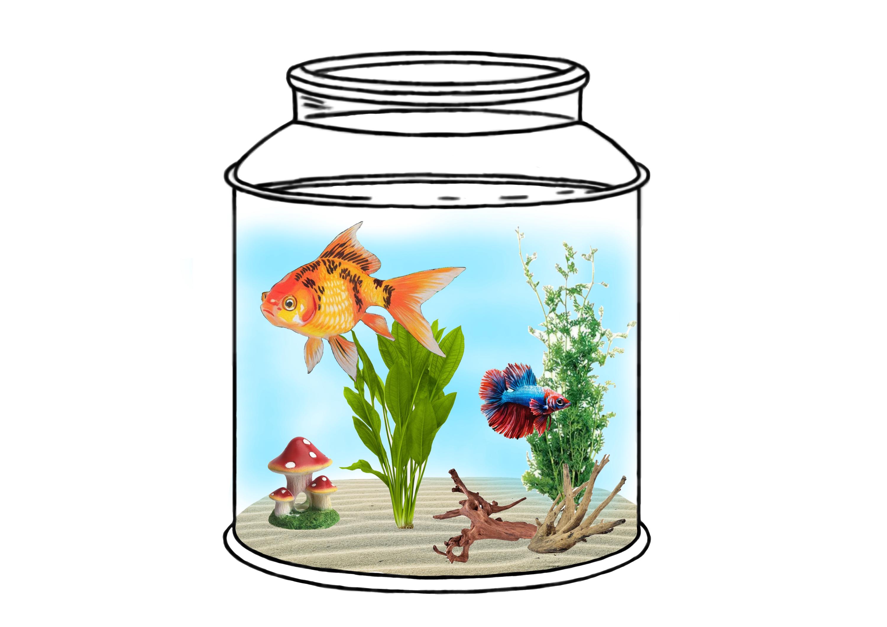 Build A Fish Tank Printable Craft, Build an Aquarium, Pretend Play, DIY ...