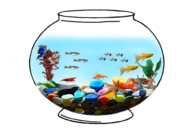 Build A Fish Tank Printable Craft, Build an Aquarium, Pretend Play, DIY ...