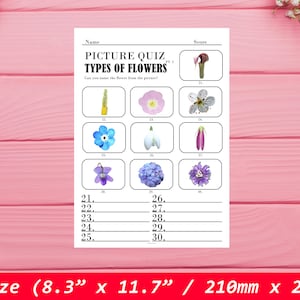 50 Printable FLOWER TYPES Picture Quiz, Picture Trivia, Party Game ...