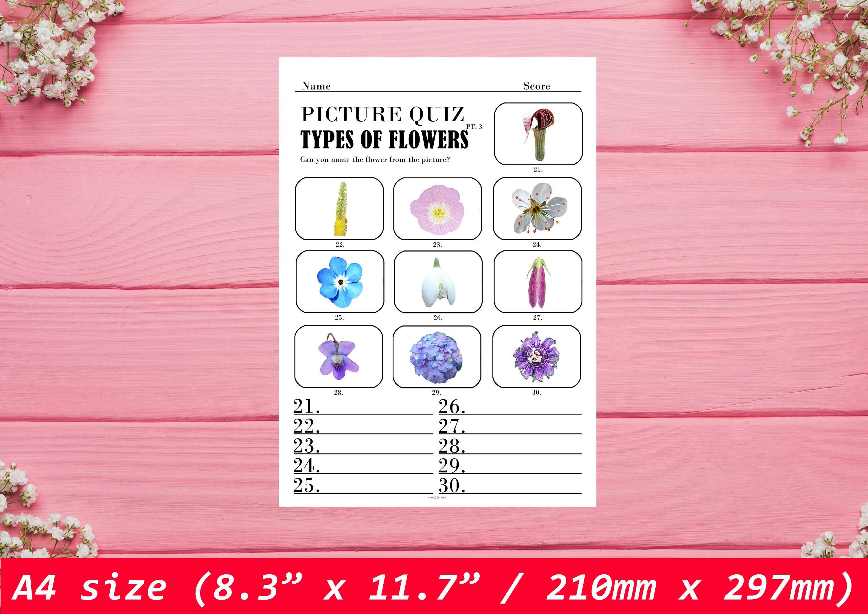 50 Printable FLOWER TYPES Picture Quiz, Picture Trivia, Party Game ...