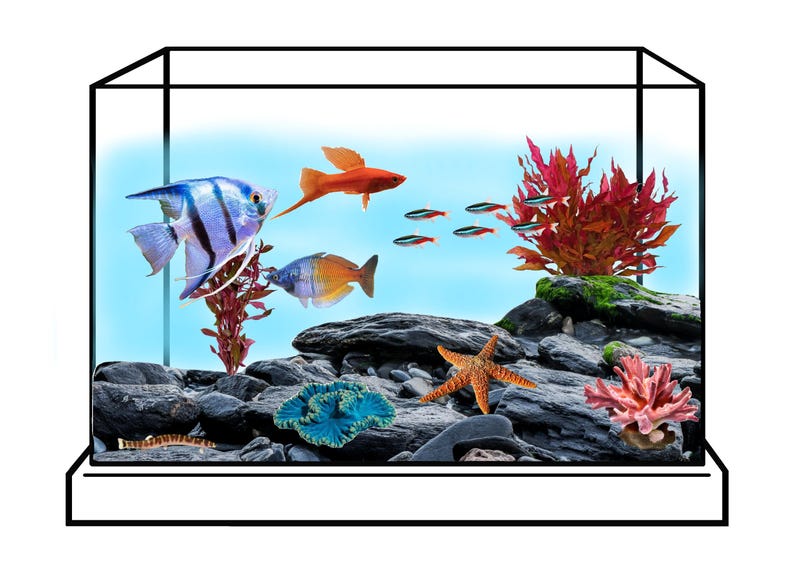 Build A Fish Tank Printable Craft, Build an Aquarium, Pretend Play, DIY ...