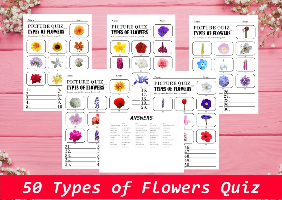 50 Printable FLOWER TYPES Picture Quiz, Picture Trivia, Party Game ...
