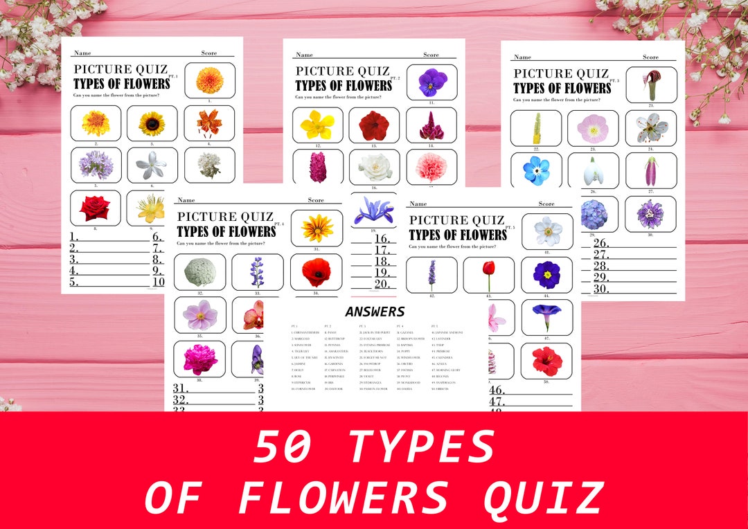 50 Printable FLOWER TYPES Picture Quiz, Picture Trivia, Party Game ...