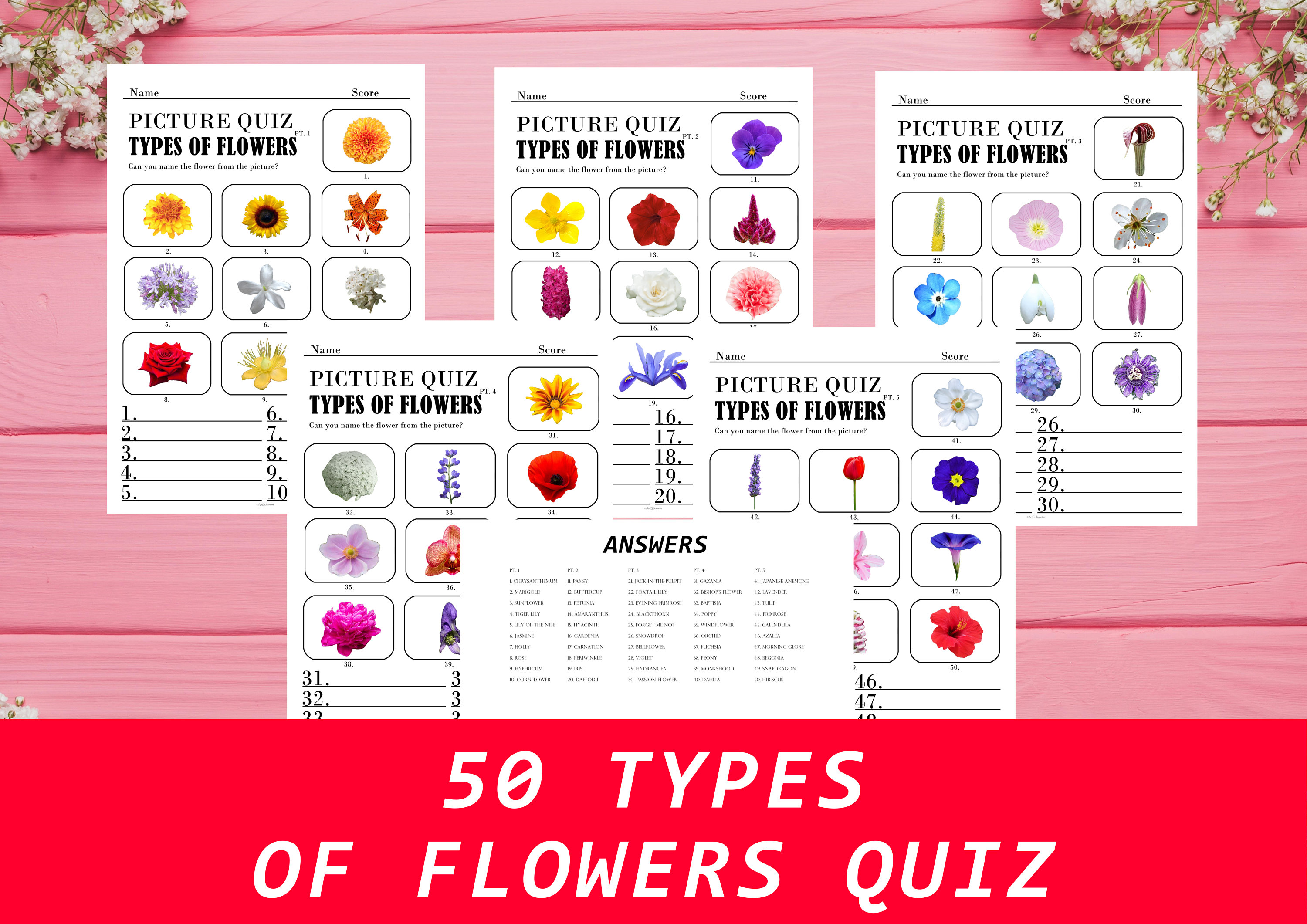50 Printable FLOWER TYPES Picture Quiz, Picture Trivia, Party Game ...