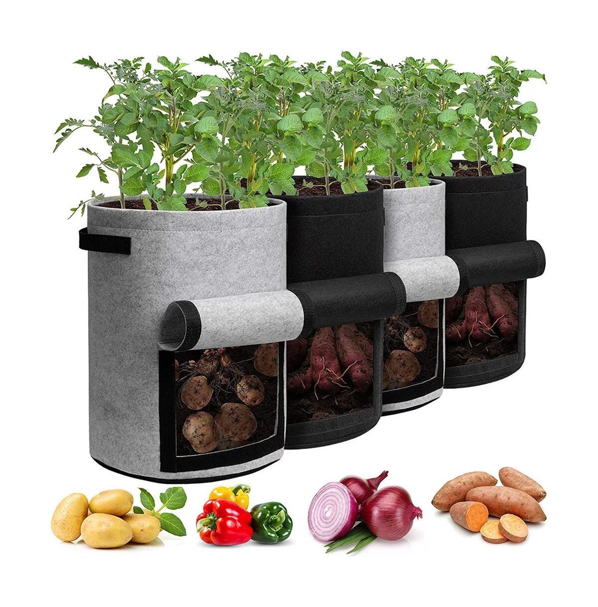 Potato Bag Kits