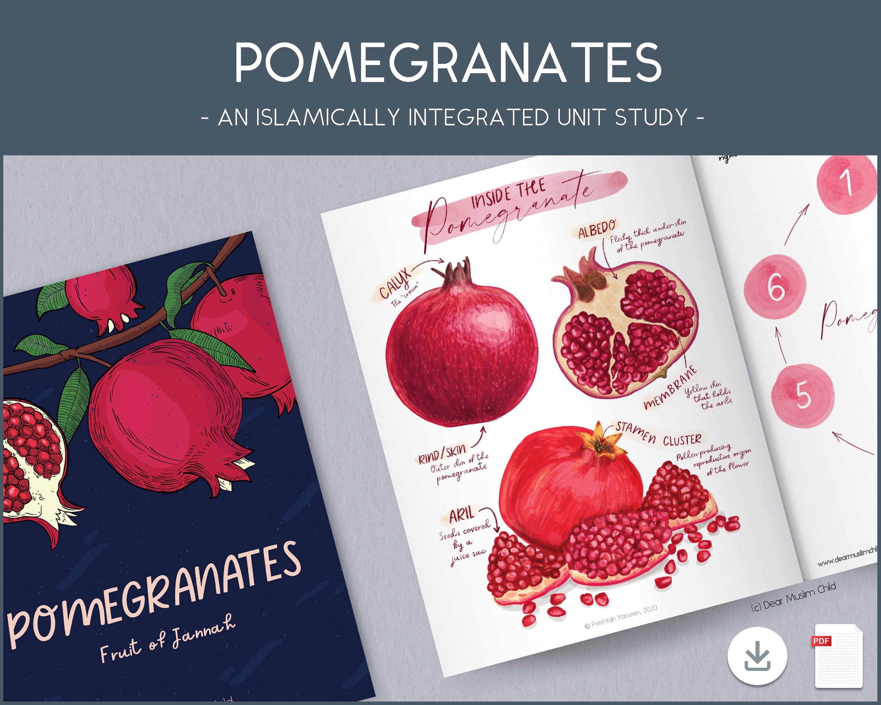 Islamically Integrated Unit Study on Pomegranates | Fruits of Paradise ...