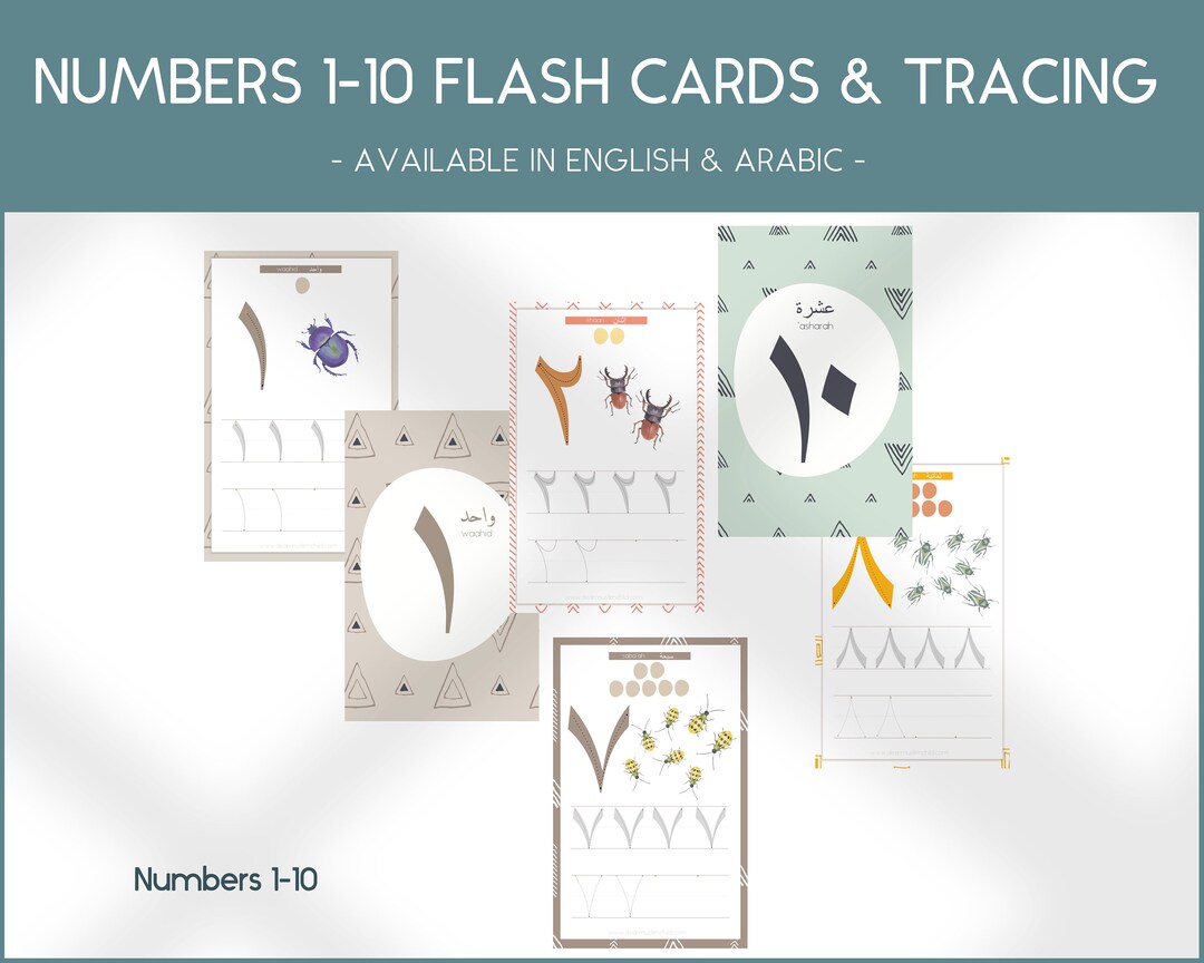 Numbers 1-10 Flash Cards and Tracing Cards - in English and Arabic - Etsy