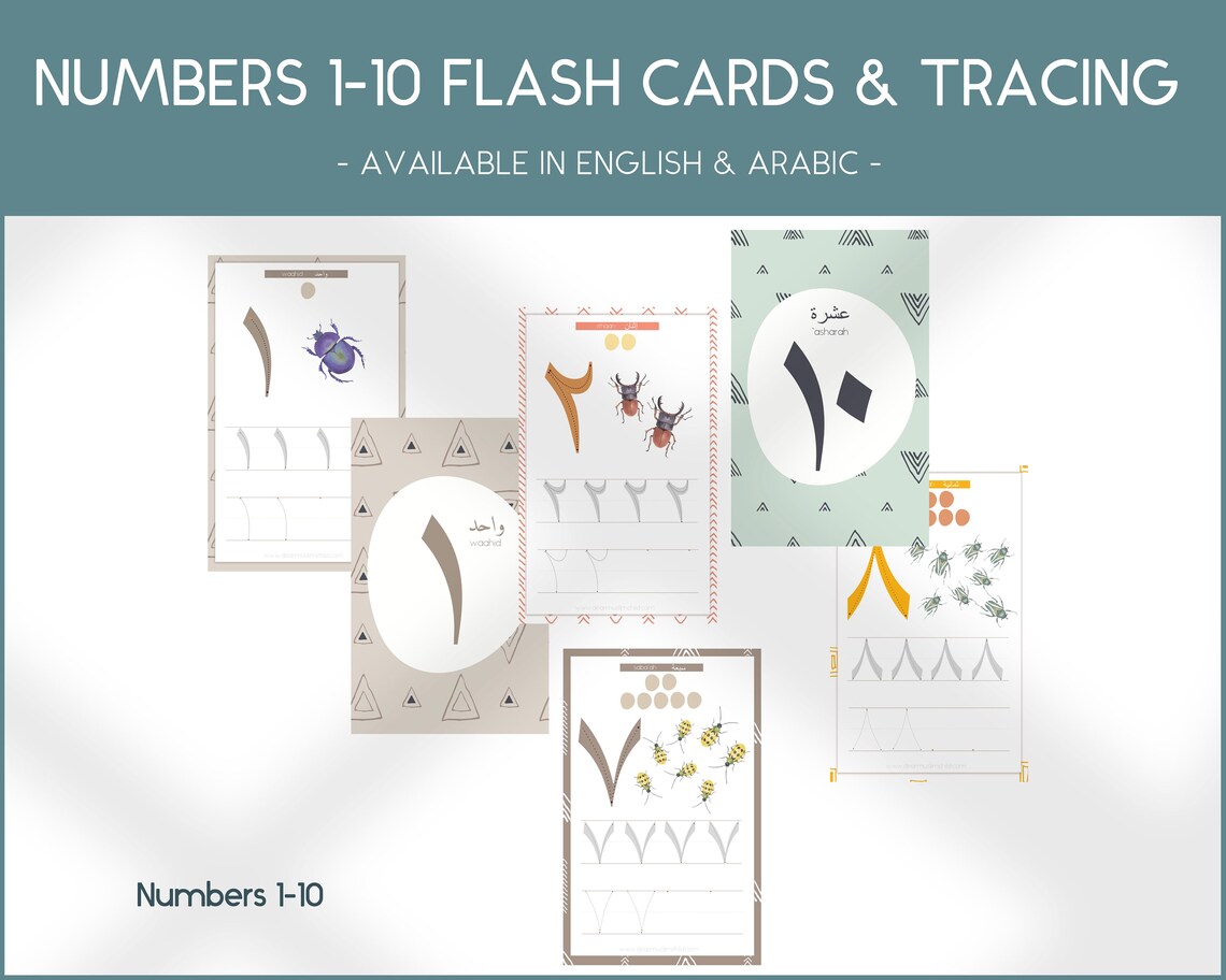 Numbers 1-10 Flash Cards and Tracing Cards - in English and Arabic - Etsy