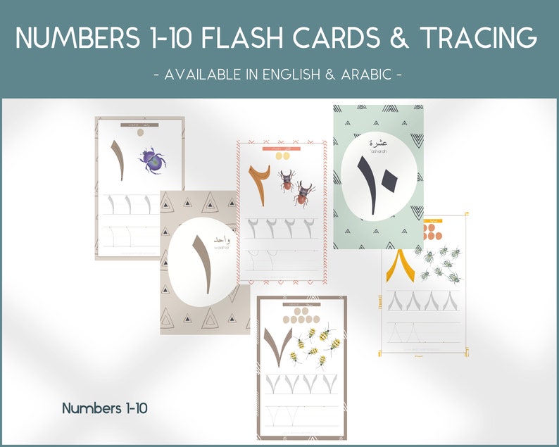 Numbers 1-10 Flash Cards and Tracing Cards - in English and Arabic - Etsy