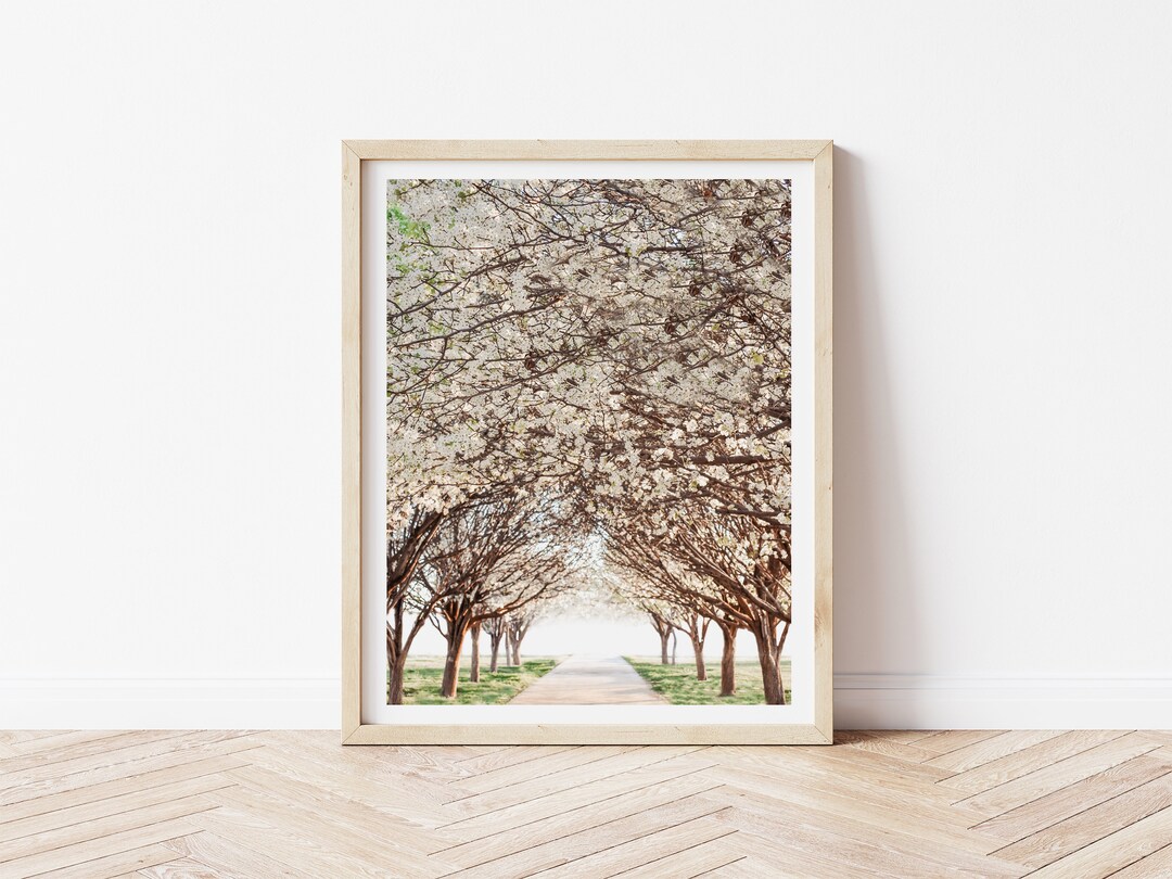 West Texas Blooms, Texas Wall Art, Spring Blooms, Signs of Spring ...