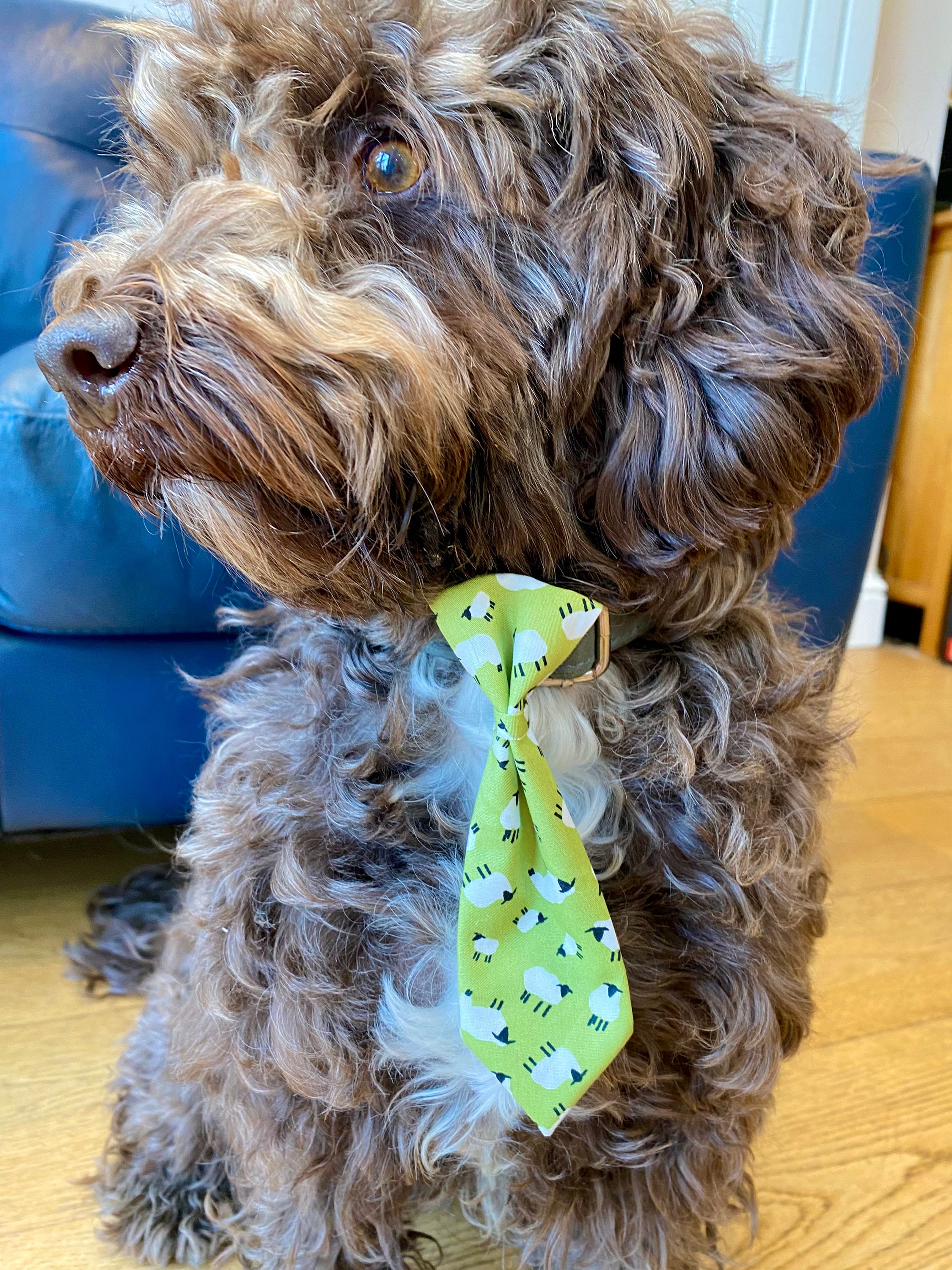 Dog Ties Human Looking Dog Ties Smart Dog Ties - Etsy