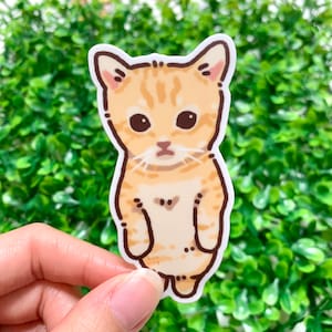 Meme Cat Stickers | Funny Cute Gifts for Kitty Lovers - Etsy