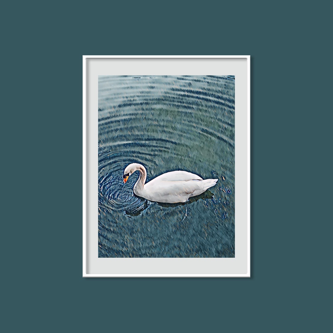 The Peaceful Swan Art Print Printed Artwork Poster Art - Etsy