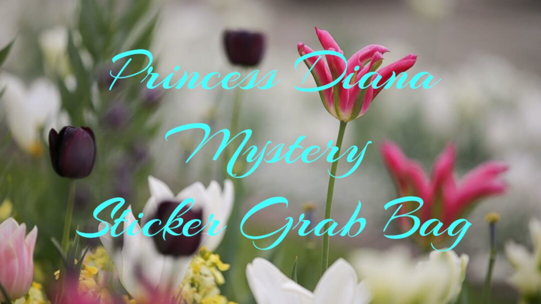 Princess Diana Stickers Mystery Bag Themed Sticker Pack Vinyl Stickers ...