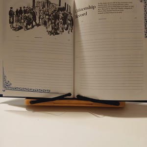 Vintage Our Family Tree: A History of Our Family – Preserve Your Family ...