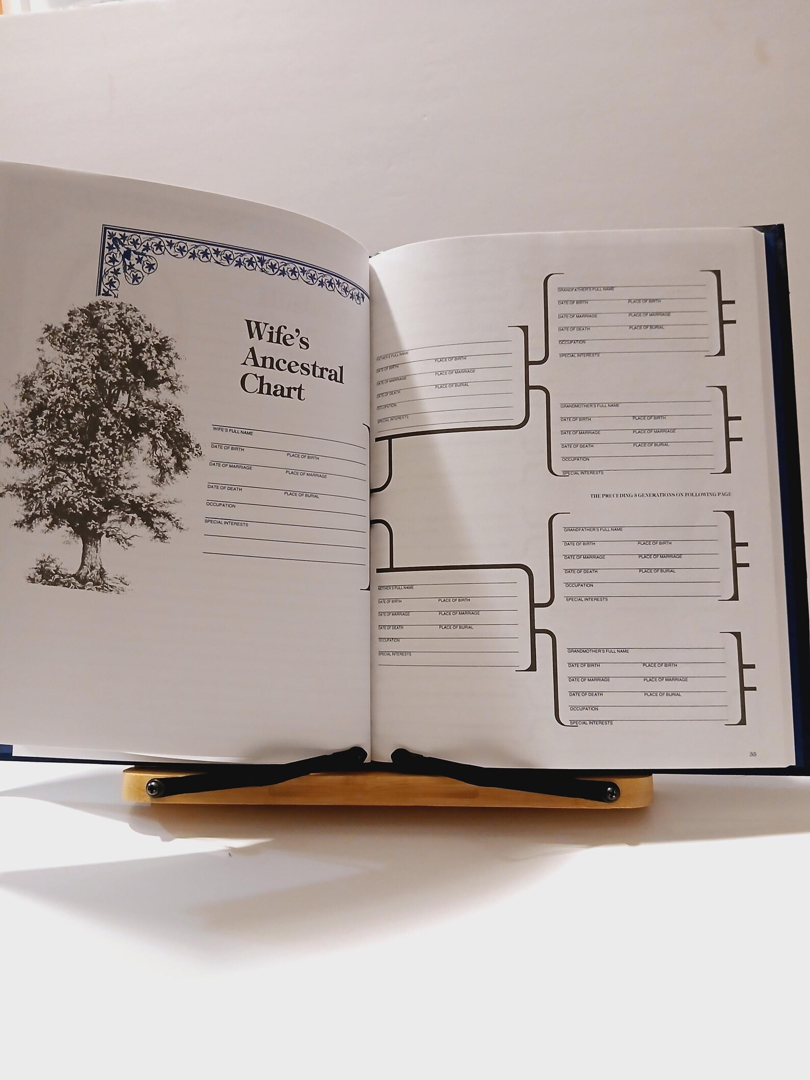 Vintage Our Family Tree: A History of Our Family – Preserve Your Family ...