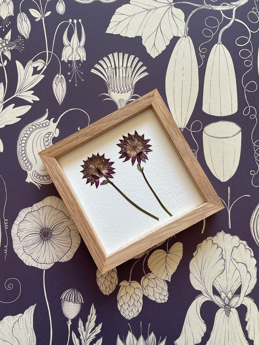 Herbarium of Dried Flowers / Framed Herbarium / Wooden Frame Herbarium ...