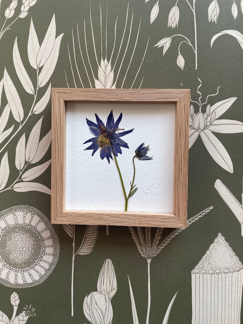 Herbarium of Dried Flowers / Framed Herbarium / Wooden Frame - Etsy