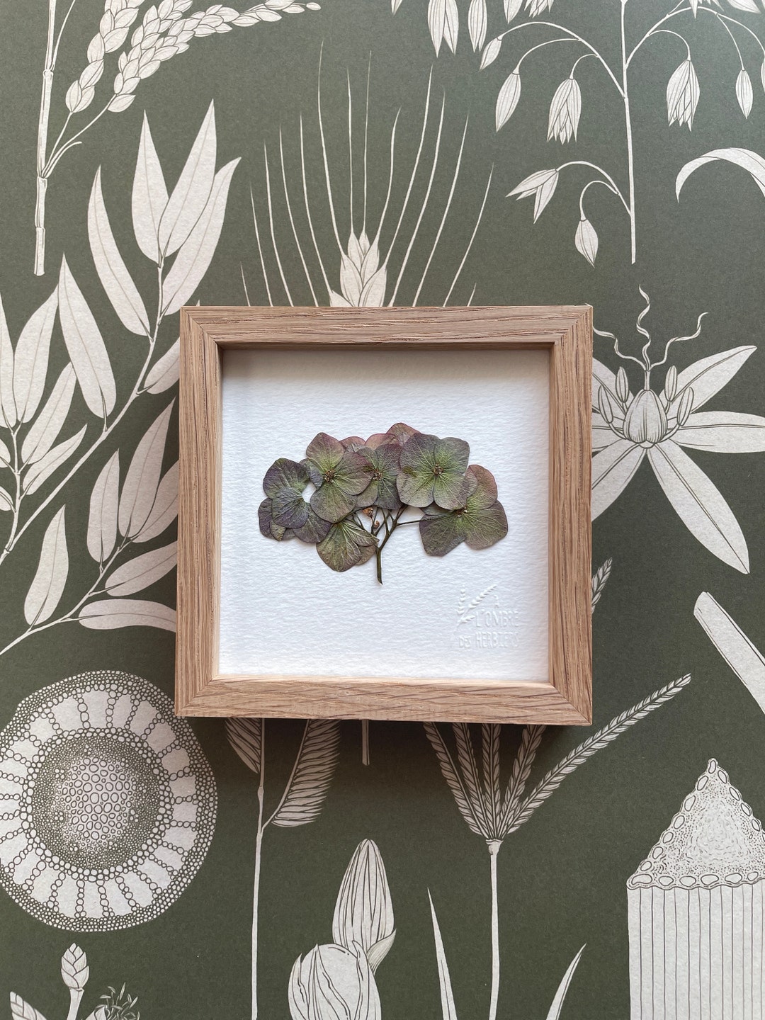 Herbarium of Dried Flowers / Framed Herbarium / Wooden Frame - Etsy
