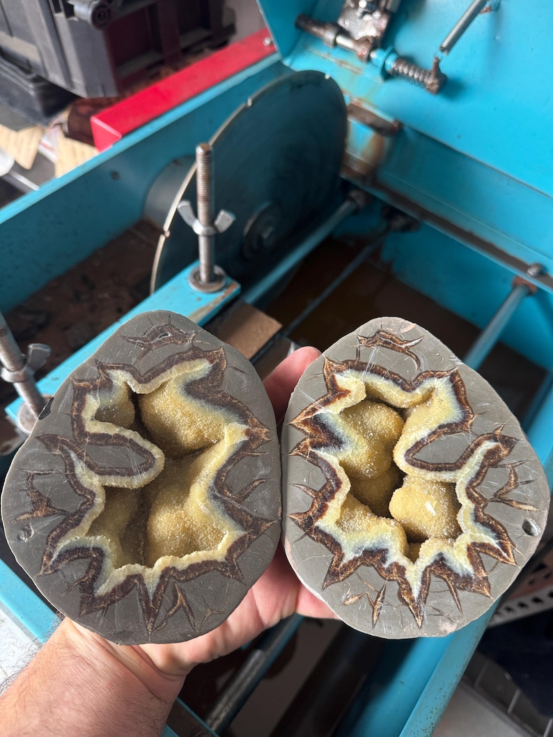 Custom Rock Cutting / Fossil Cutting – Lapidary Saw Slabbing Service ...
