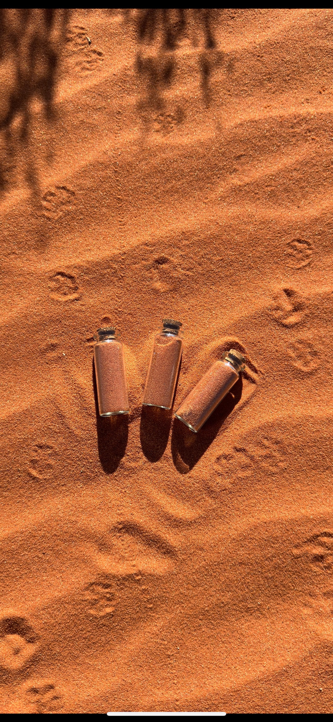 Utah Red Sand! World Famous Sand! Beautiful Color Perfect Gift for Home ...