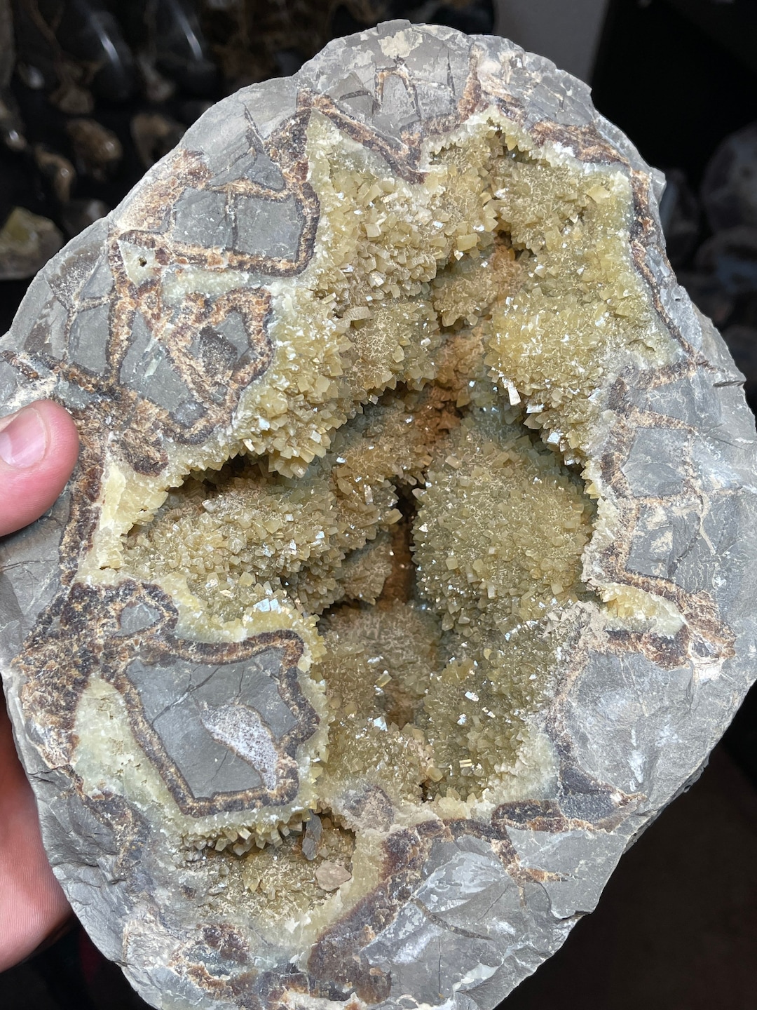 Earth's Mystery Box: Geodes, Clusters & Fossil Mystery Box ...