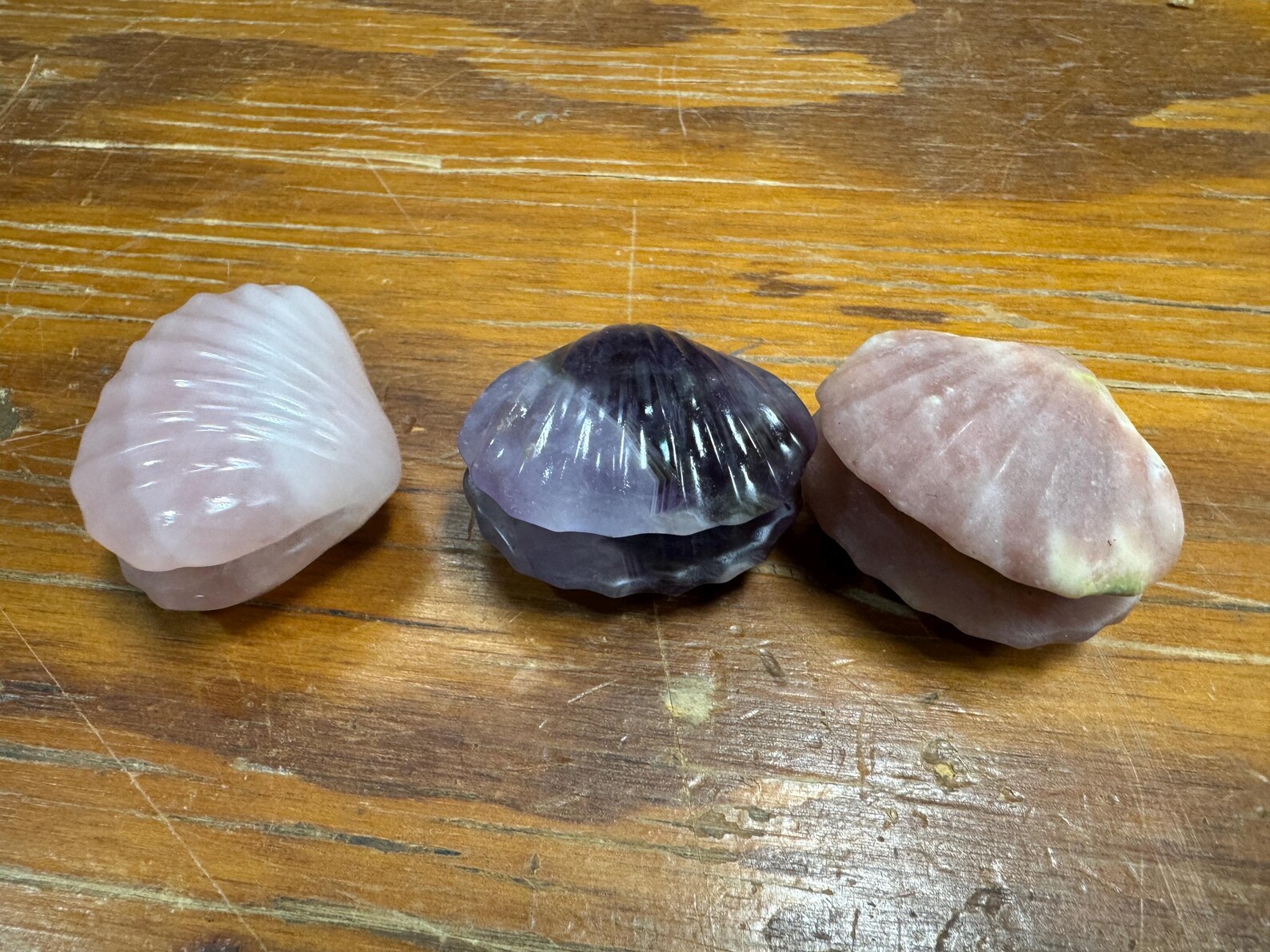 Cute Baby Clam Sea Shell Carvings With Real Pearl!! Unique Handmade ...