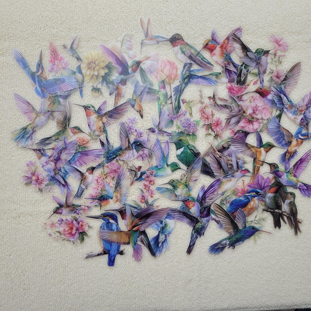 50 Pack 2 Inch Assorted Hummingbirds Vinyl Sticker Decals - Etsy