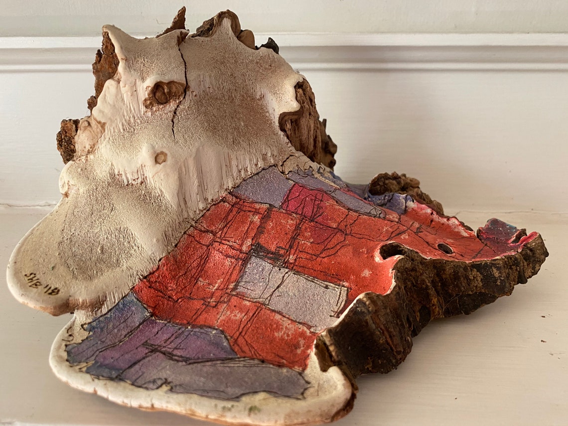 Artist's Conk Mushroom Art Red&blue States Ink USA - Etsy