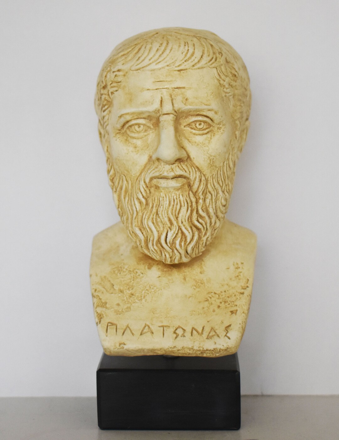 Plato Head Bust - Ancient Greek Philoshopher, Laid the First ...