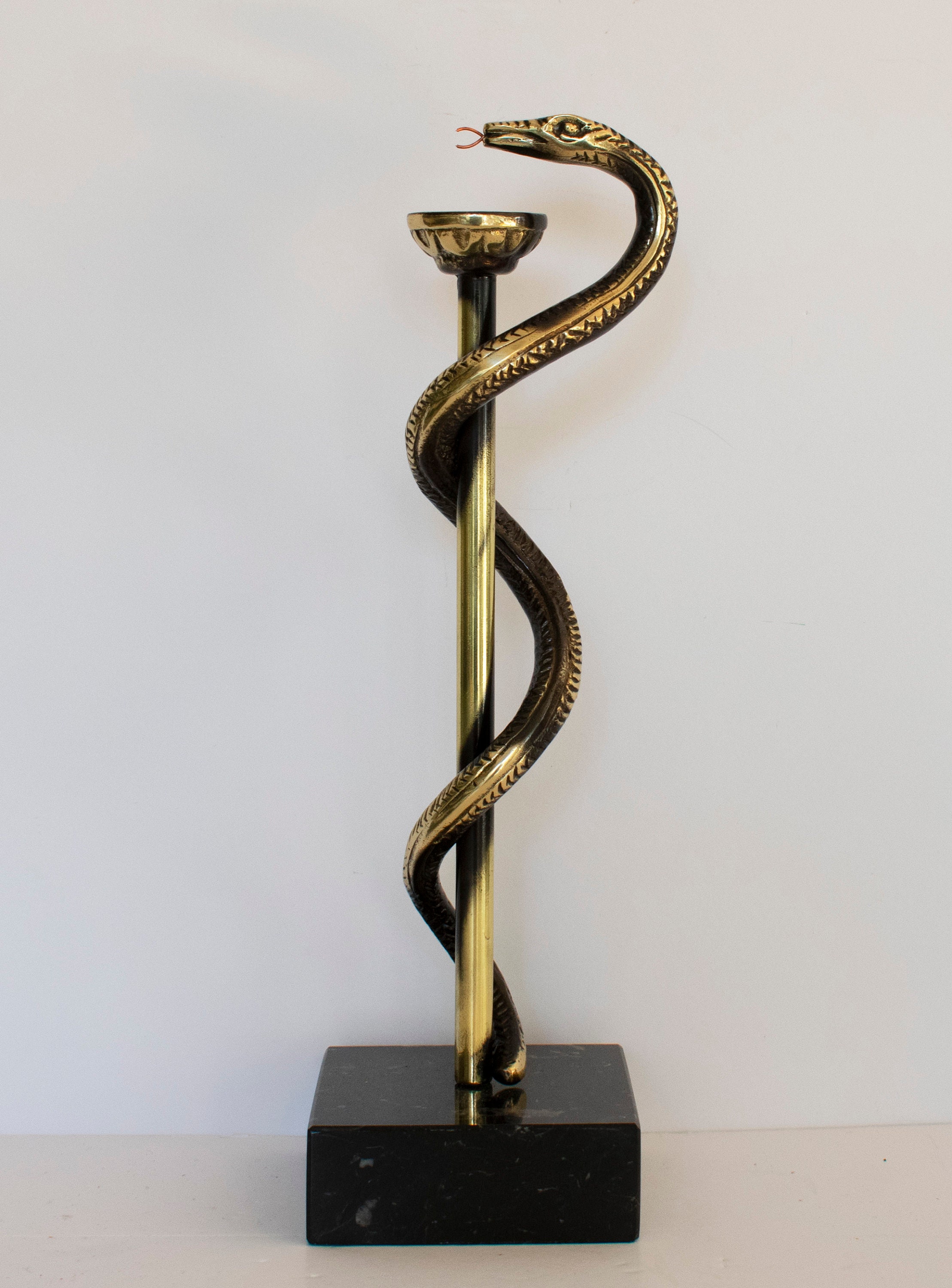 Rod of Asclepius Serpent-entwined Rod Wielded by the God - Etsy