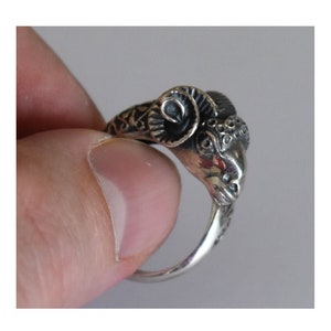 Ram Head Symbol of Authority, Nobility, Virility, Fertility, Power and ...