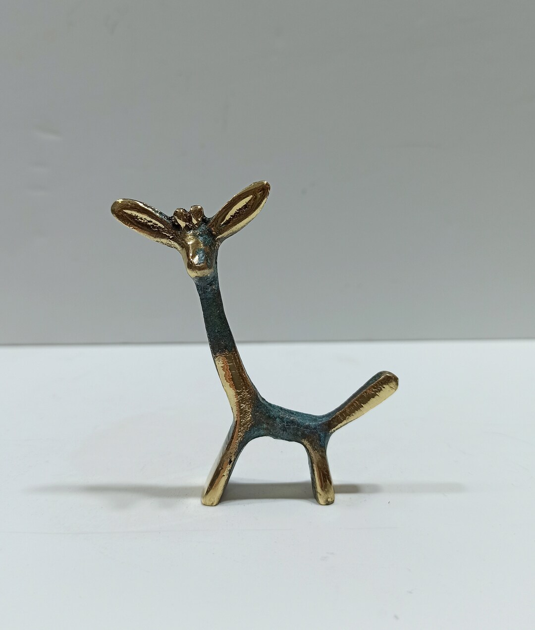 Giraffe the Tallest Animal in the World Symbol of Guidance and ...