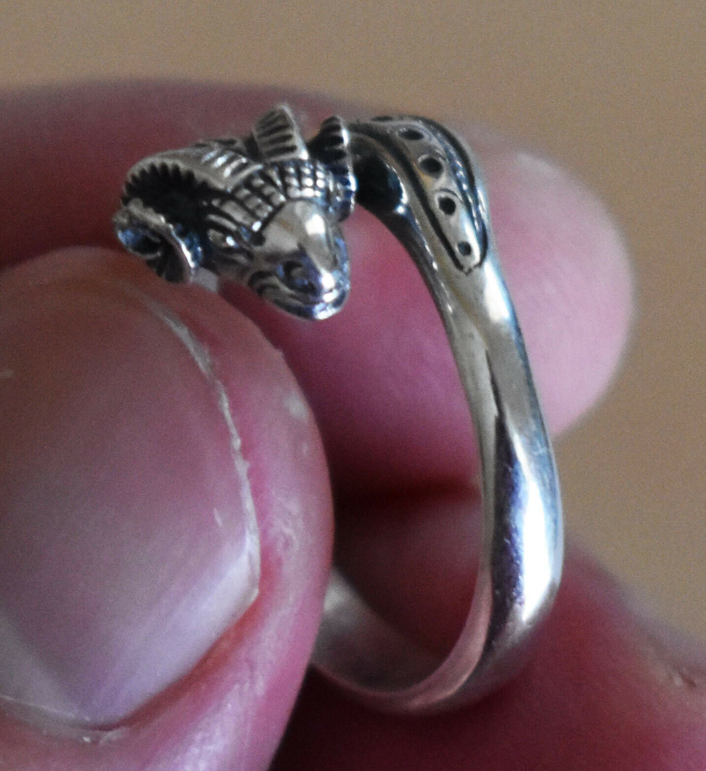 Ram Head Symbol of Authority Nobility Virility Fertility | Etsy