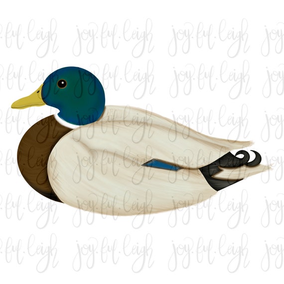 Mallard Duck PNG | Etsy