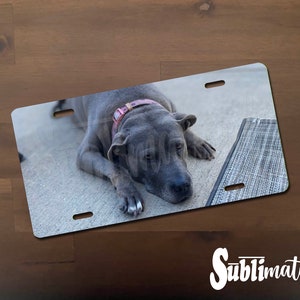 Your Photo on a License Plate Personalized Custom Photo Plate ...