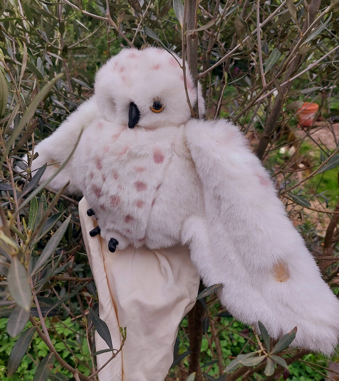 Vintage Hand Puppet Hedwig Barn Owl Harry Potter Puppet Show Fan - Etsy