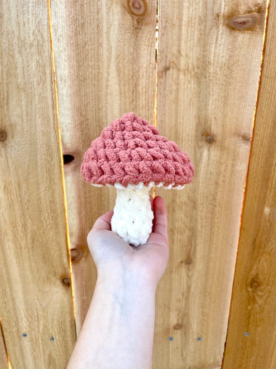 Crochet Mushroom / Mushroom Plushie / Plush Shroom - Etsy