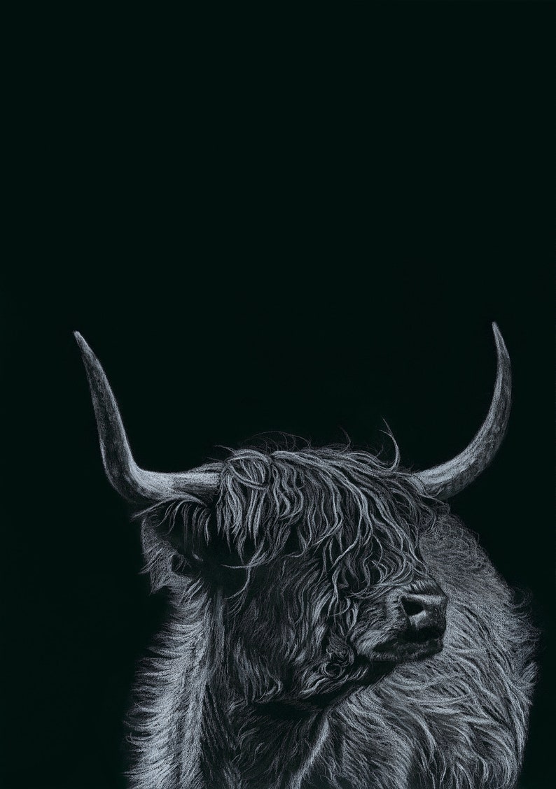 Hamish the Highland Cow Limited Edition Giclee Print - Etsy