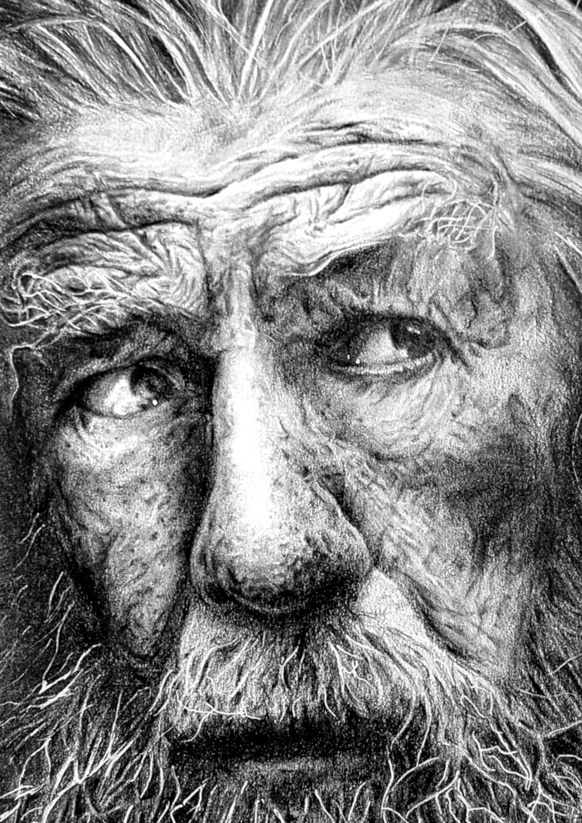 Pencil Art & Collectibles Custom Graphite Pencil Commissioned Portrait ...