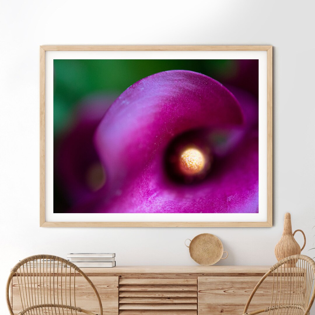 Calla Lily Print, Floral Photo Print, Calla Lilies Photo, Printable ...