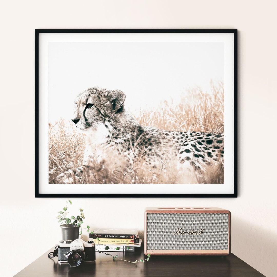 Cheetah Wall Art for Living Room Guepard Photography Big Cat Poster ...