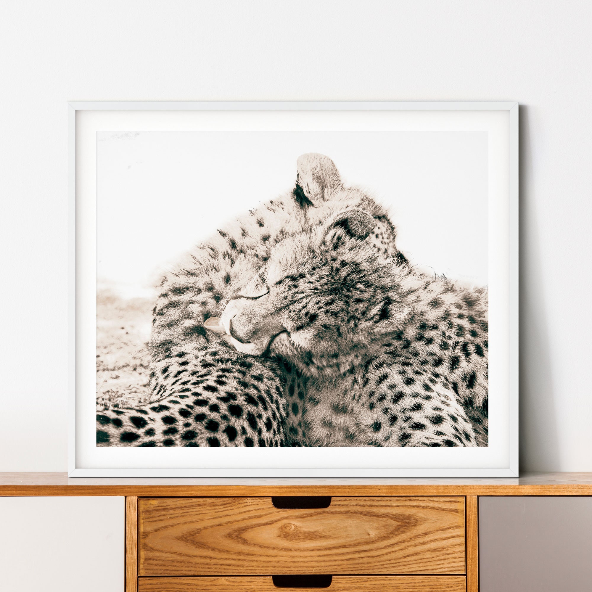 Cheetah Print Art to Download, Cheetah Cub for Entrance Decor, Vintage ...