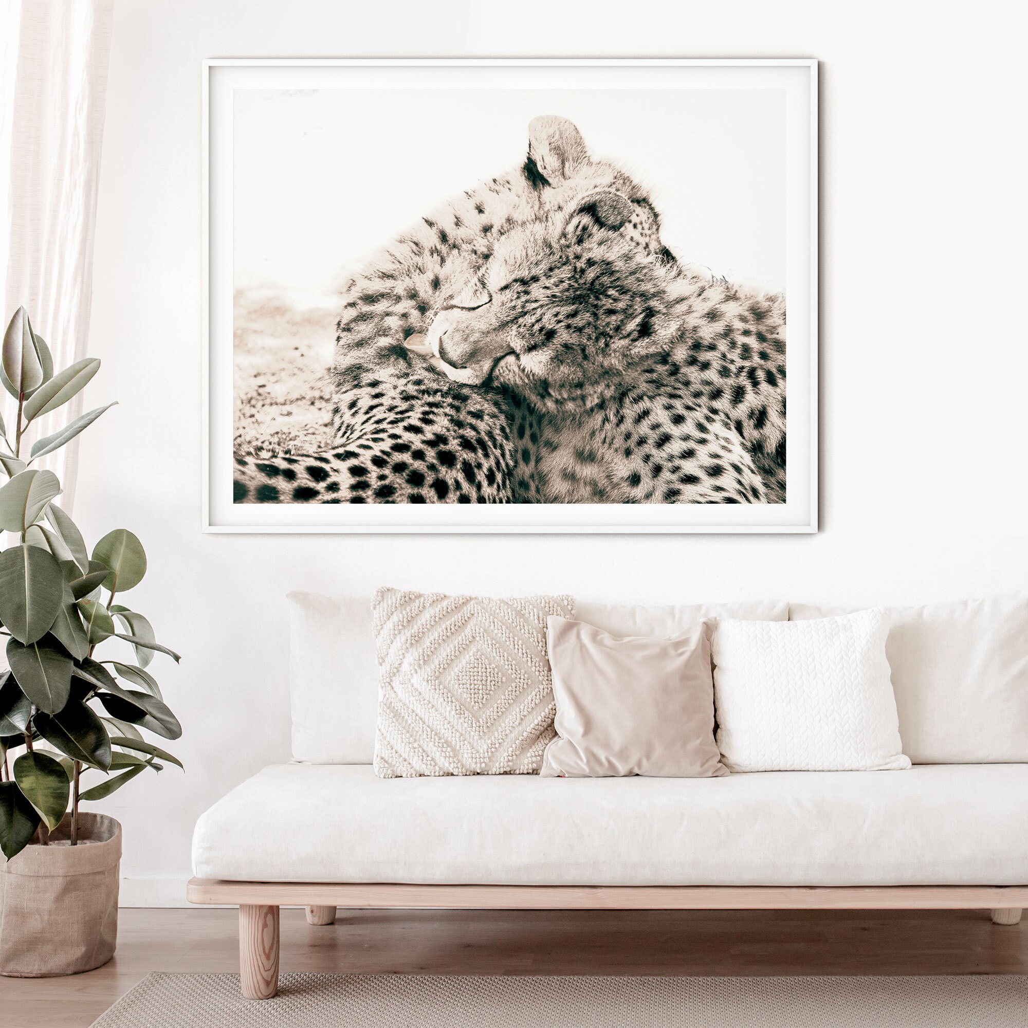 Cheetahs Art Print for a Wildlife Decoration. Cheetah Wall Art for ...