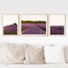 Cheetah Gallery Wall for a Living Room Decor. Cheetah Wall Art. Wild ...