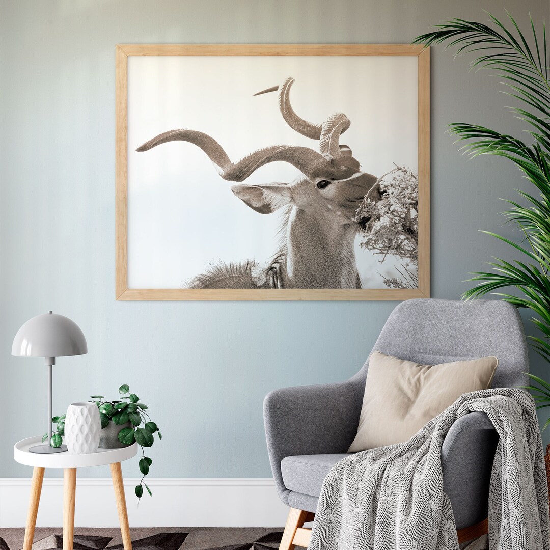 KUDU Art Print Digital Download African Animals Best African - Etsy