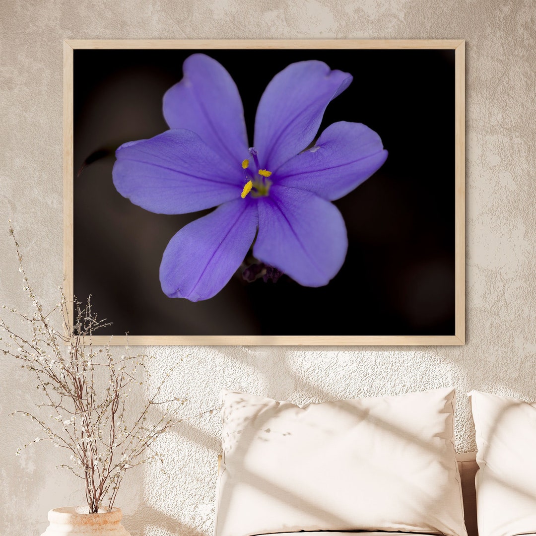 Printable Blue Flower Photo Wall Art. Delicate Flower Print for Living ...