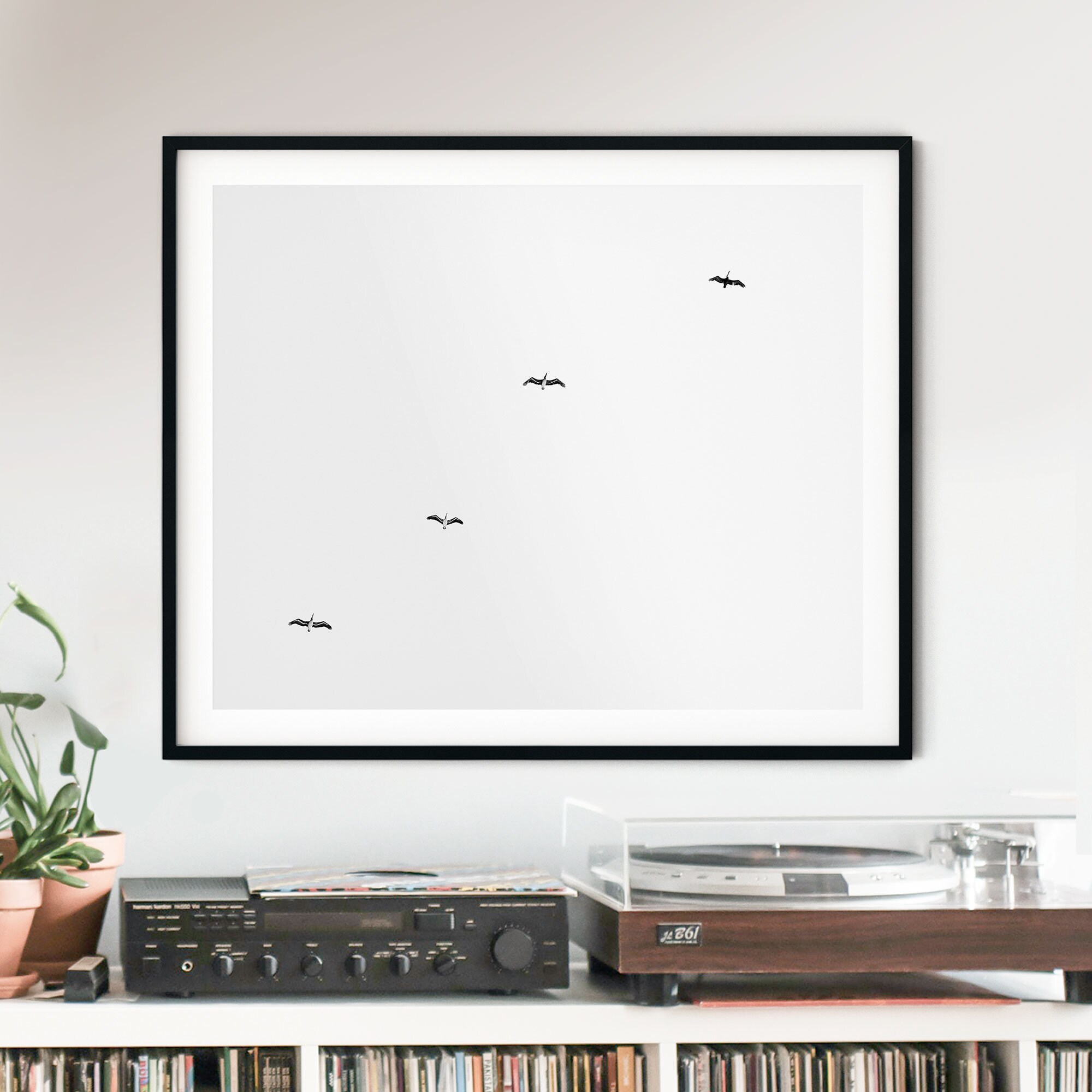 Flying Birds Print for Music Room, Minimal Bird Photography, Pelicans ...
